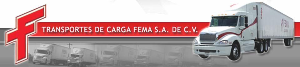 Fema Logistics: Reportes en Linea